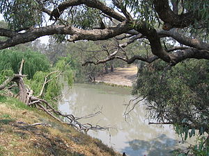 Billabong - Wikimedia Australia